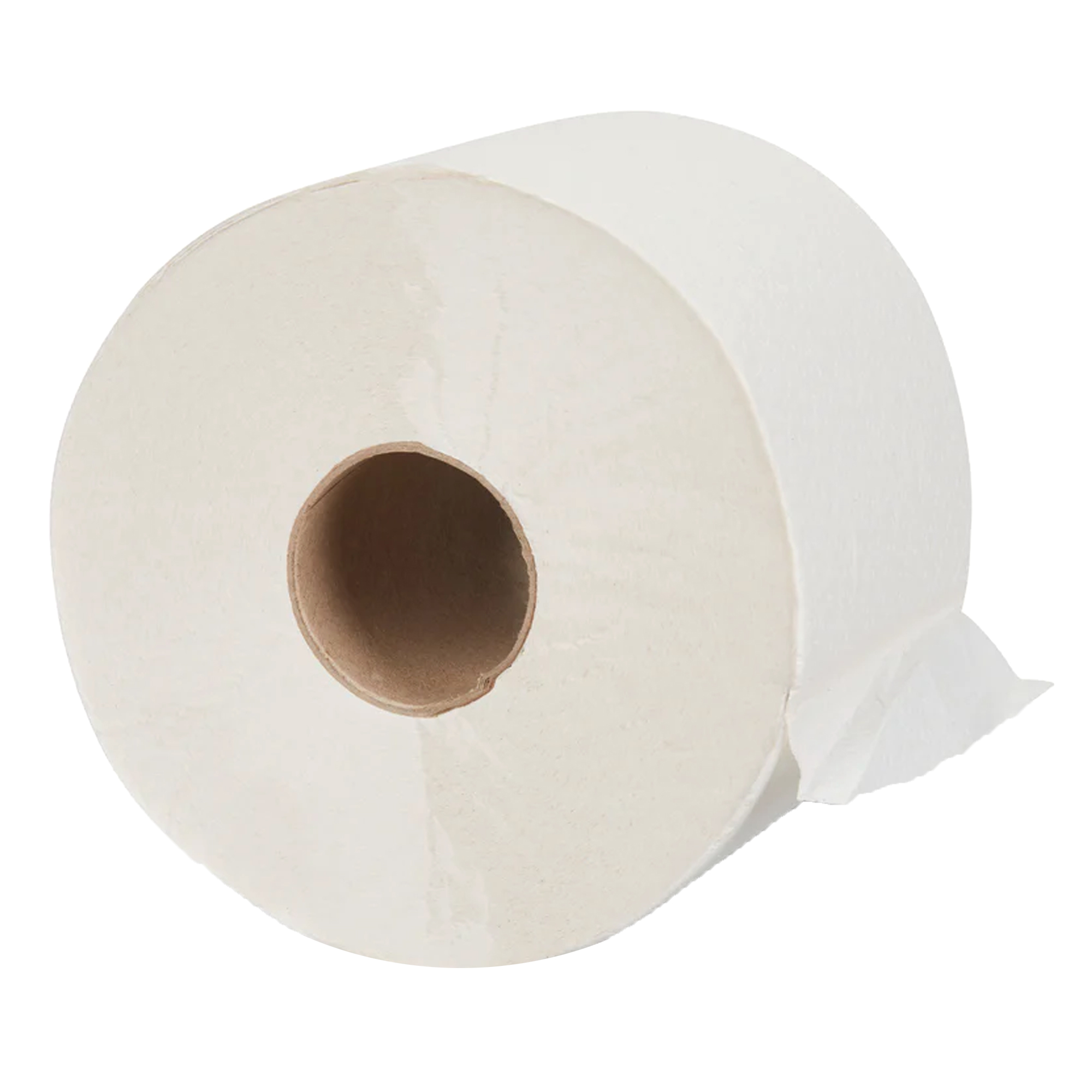 CWS Toilettenpapier 6052200 Maxi 100 Recycling, weiß